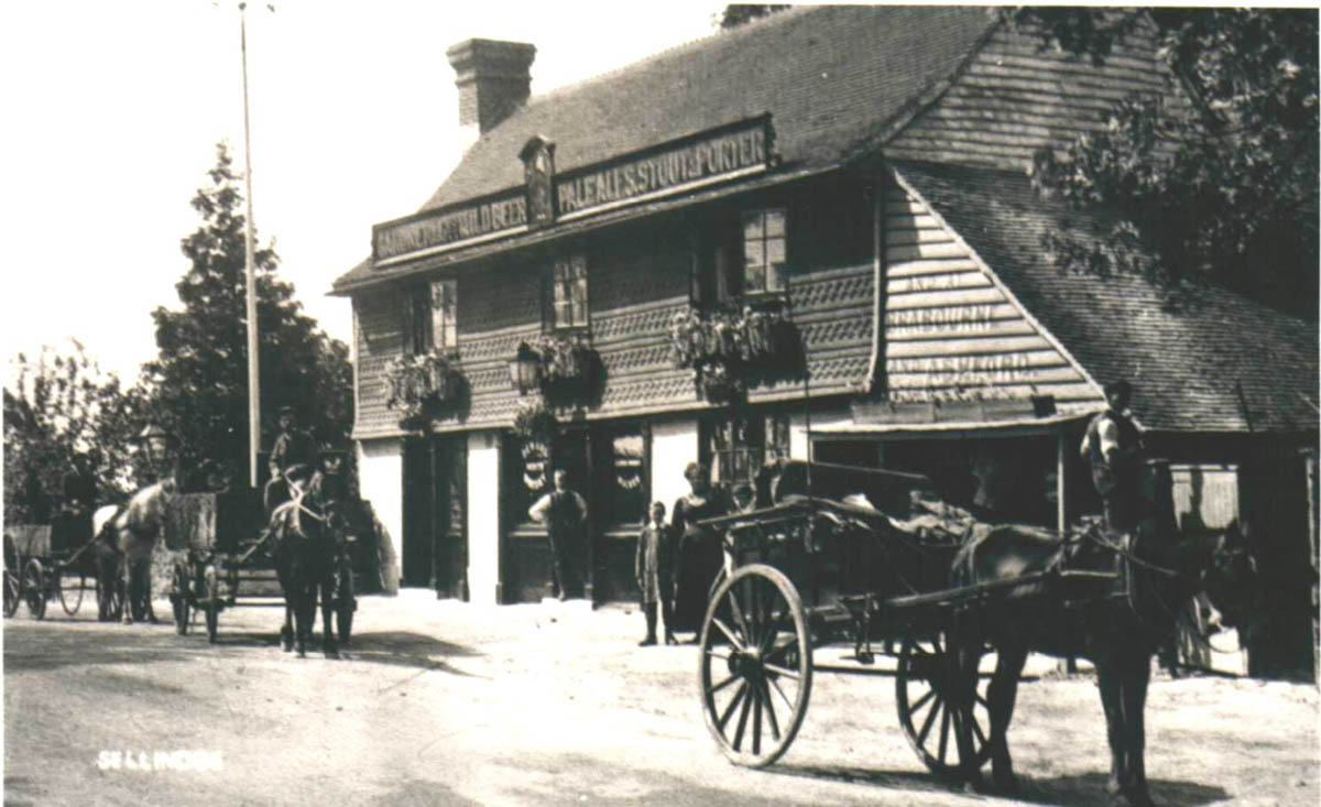 Gallery - Sellindge Parish Council